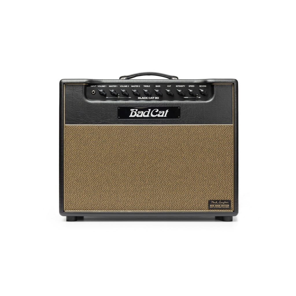 Bad Cat Mod Shop Black Cat 30 Combo | The Fellowship of Acoustics